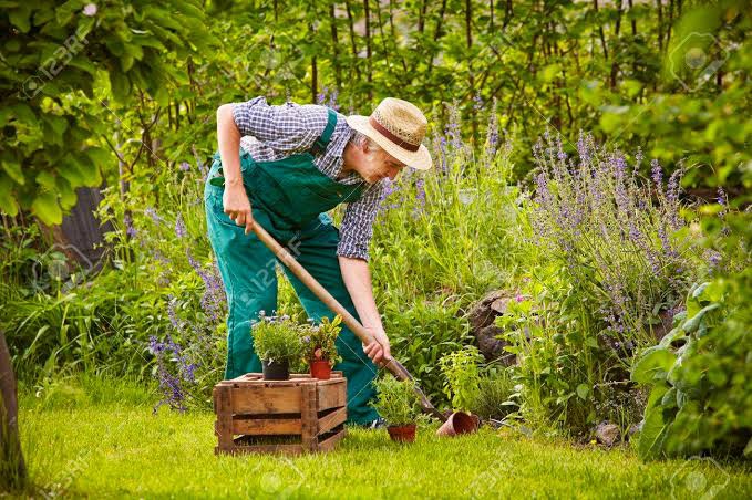 The Gardener! – The Revealed Word.